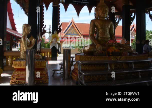 Rat worship Stock Videos & Footage - HD and 4K Video Clips - Alamy