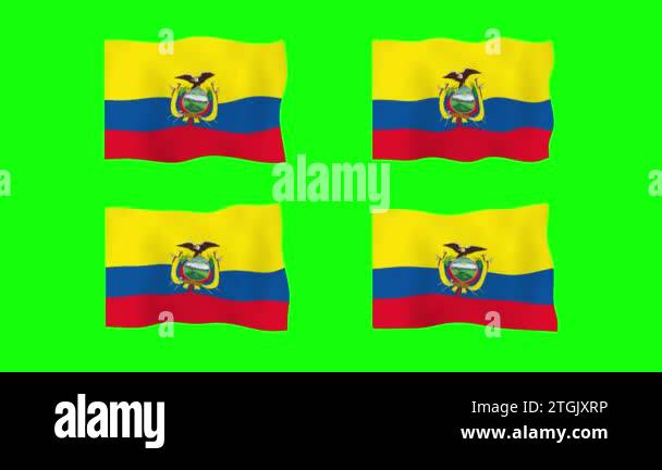Ecuador Waving Flag 2D Animation on Green Screen Background. Looping ...