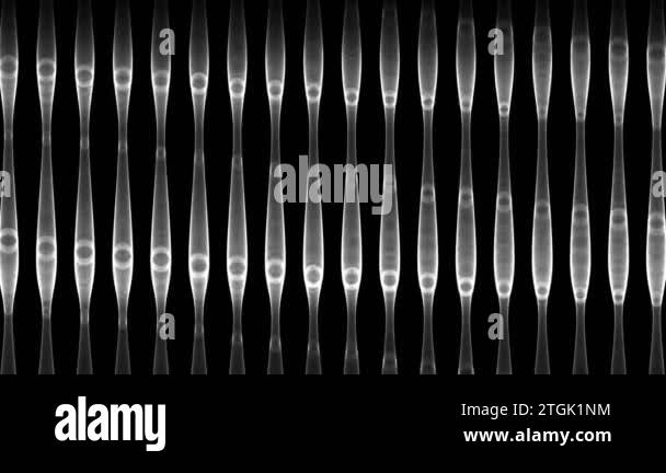 Ring vortex vertical CG particle motion graphics Stock Video Footage ...
