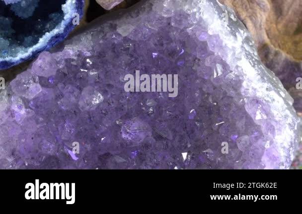 Bring luck Stock Videos & Footage - HD and 4K Video Clips - Alamy