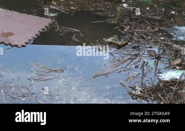 Japan river pollution Stock Videos & Footage - HD and 4K Video Clips ...
