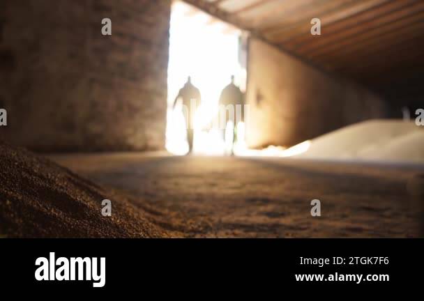 Pile of crops Stock Videos & Footage - HD and 4K Video Clips - Alamy