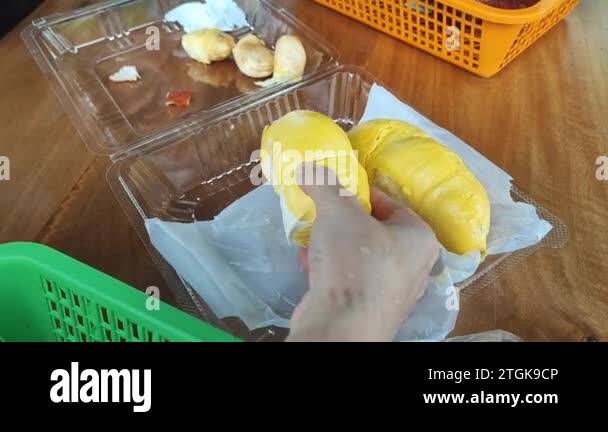 Gardener man cut open durian, open flesh of yummy organic yellow yummy ...