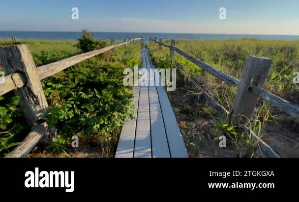 Grass beach ocean Stock Videos & Footage - HD and 4K Video Clips - Alamy