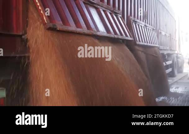 Grain lorry unloading on elevating hydraulic platform unloader at grain ...