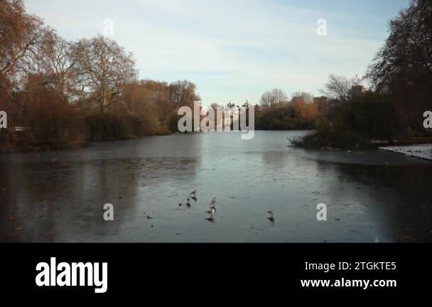 Cold london park Stock Videos & Footage - HD and 4K Video Clips - Alamy