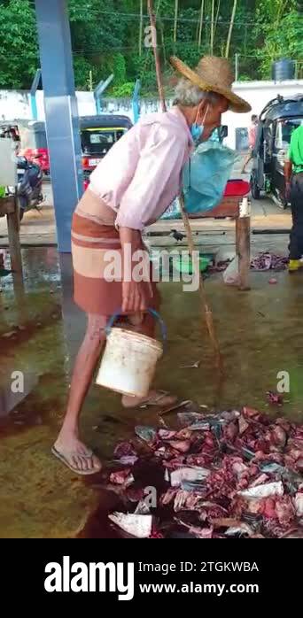 a fish market in Sri Lanka in Mirissa on the coast of the Indian Ocean, fishermen bring their ...