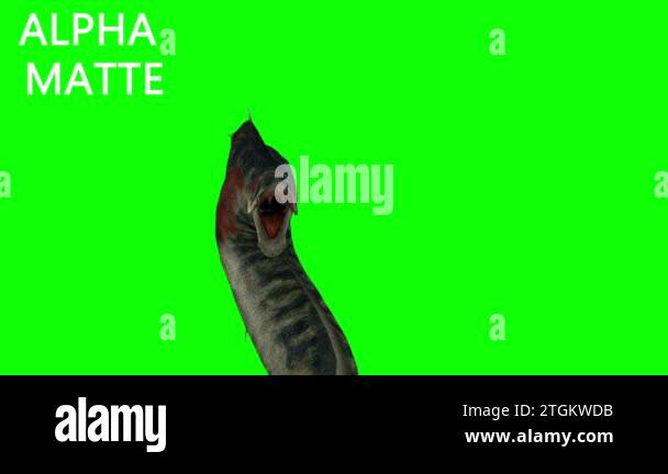 Dinosaur animation on green screen. GI realistic render Stock Video ...
