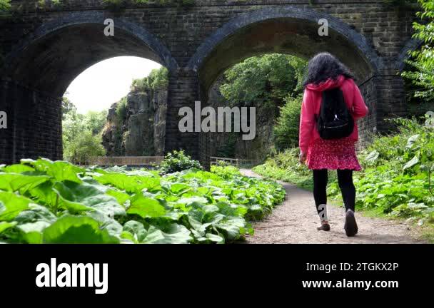 Footpath under bridge Stock Videos & Footage - HD and 4K Video Clips ...