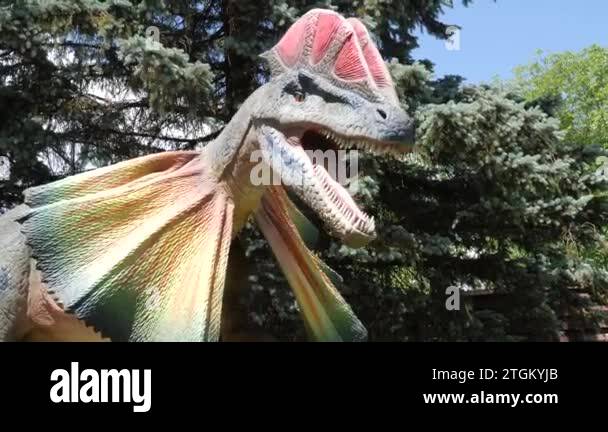 Dilophosaurus dinosaur model in Stock Videos & Footage - HD and 4K ...