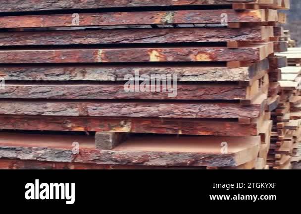 Timber photography Stock Videos & Footage - HD and 4K Video Clips - Alamy