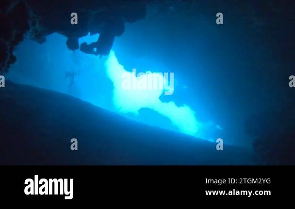 Coral reef and water plants in the Red Sea, Dahab, blue lagoon Sinai ...