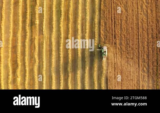 Farm yields Stock Videos & Footage - HD and 4K Video Clips - Alamy