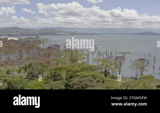 Hippo point Stock Videos & Footage - HD and 4K Video Clips - Alamy