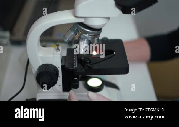 Close-up microscope with unrecognizable veterinarian analyzing blood ...