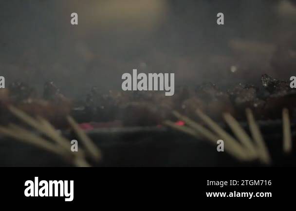 Sate - Indonesian Satay Southeast Asian Dish Meat Chicken Charcoal ...