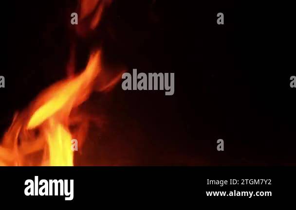 Burning fire isolated on dark black background. High quality FullHD ...