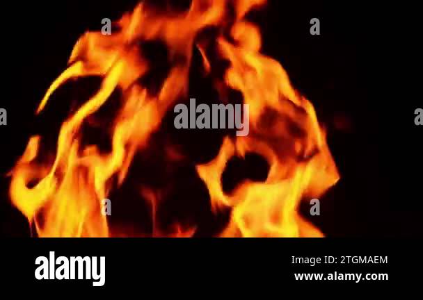 Burning fire isolated on dark black background. High quality FullHD ...