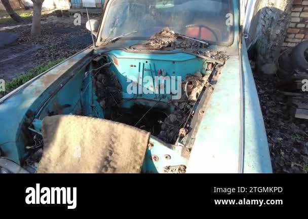 soviet retro broken car. Steadycam shot of broken rusty cars in green ...