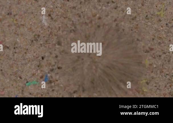 Microplastic soil Stock Videos & Footage - HD and 4K Video Clips - Alamy