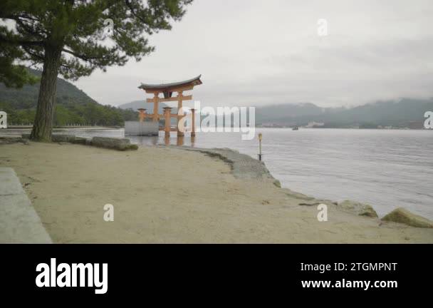 Zen japanese landscape with shinto tori gate in the water on a moody ...