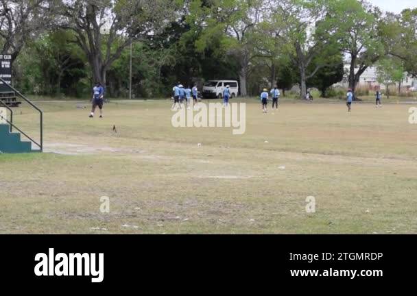 Traditional cricket uniform Stock Videos & Footage - HD and 4K Video ...