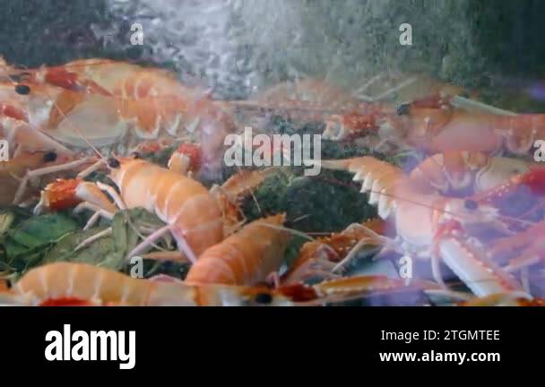 Lobsters, crabs and shrimps in a large transparent aquarium in ...
