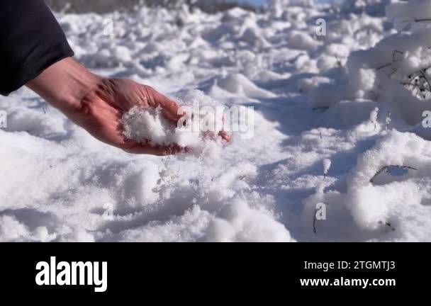 Male Hand Touching the Fallen Fluffy Snow in Winter Forest in Rays of ...