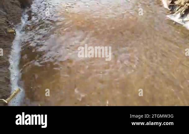 water flows through irrigation canals. Agriculture and agribusiness ...
