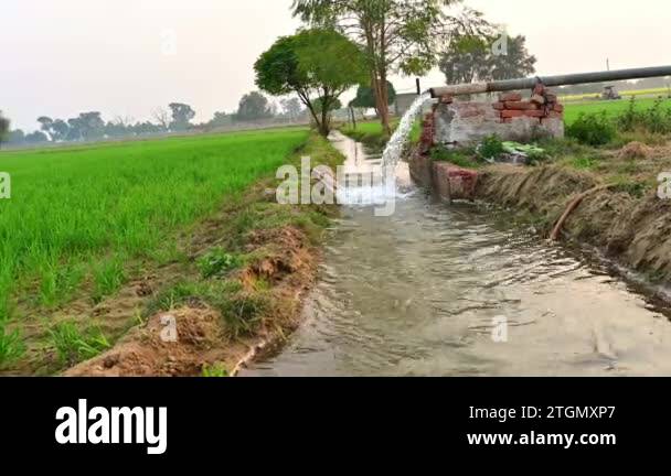 India water pump field Stock Videos & Footage - HD and 4K Video Clips ...