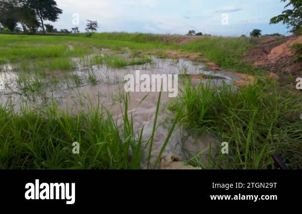 Outdated irrigation, pumping from self-generated water sources in the ...
