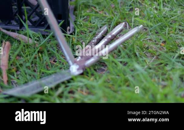 Chopper tool Stock Videos & Footage - HD and 4K Video Clips - Alamy