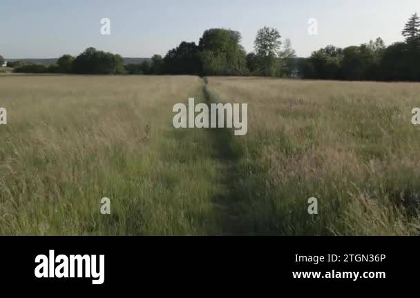 Path through grass Stock Videos & Footage - HD and 4K Video Clips - Alamy
