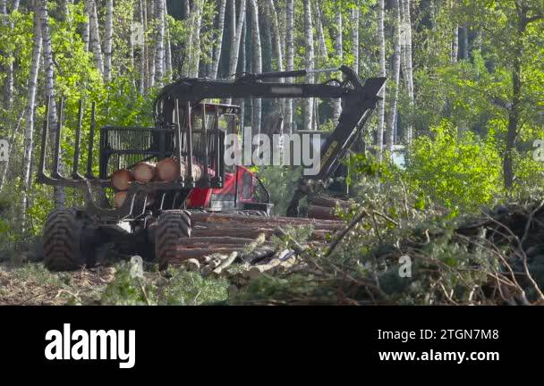 Timber loading, timber processing, timber loading with a claw Stock ...