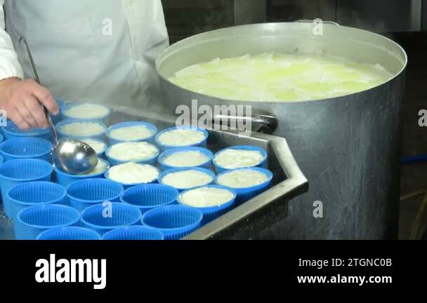 Cheesemaker pours the ricotta into plastic forms - process of making ...