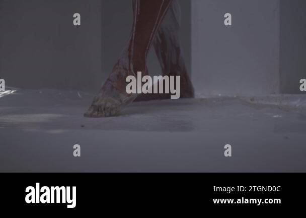 Mans feet in tension, lifting on the toes, trailing toes. Male feet in ...