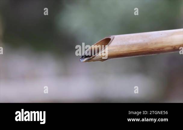Traditional bamboo pipe Stock Videos & Footage - HD and 4K Video Clips ...