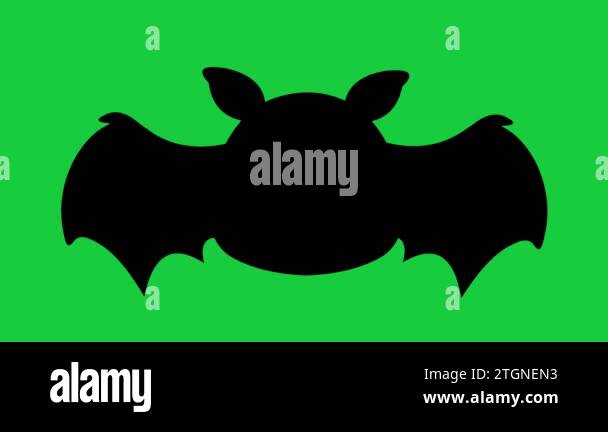 Vampire rodent Stock Videos & Footage - HD and 4K Video Clips - Alamy