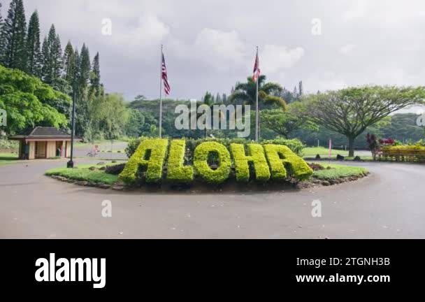 Adventure island sign Stock Videos & Footage - HD and 4K Video Clips ...