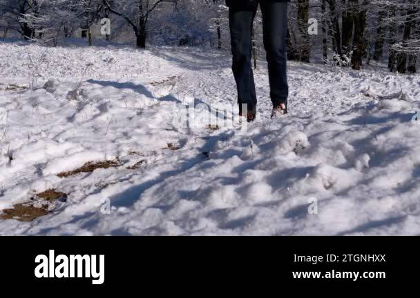 Winter footpath snowy steps Stock Videos & Footage - HD and 4K Video ...