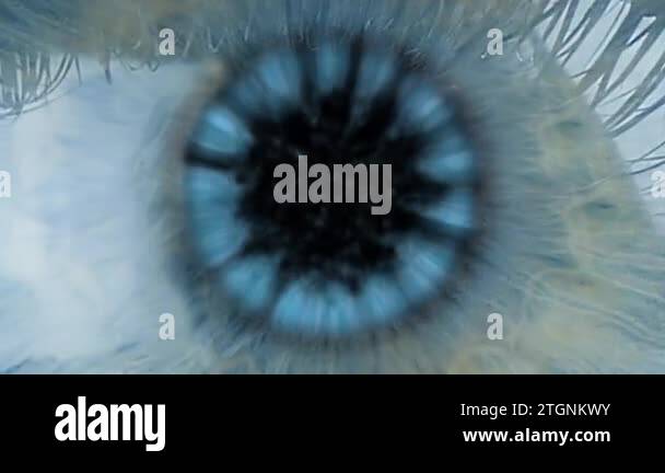 Zoom into a pupil of human eye and zoom out. Eyeball, inner world ...