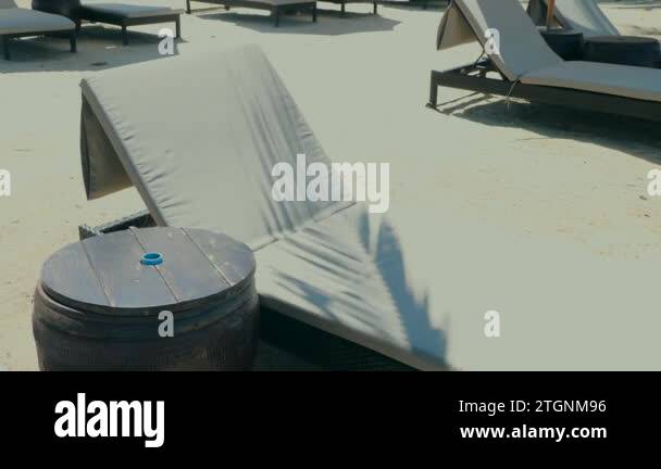 Palm tree beach sunbed Stock Videos & Footage - HD and 4K Video Clips ...