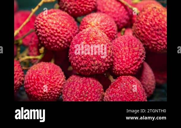 Lychee chinensis Stock Videos & Footage - HD and 4K Video Clips - Alamy