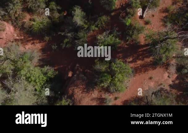 Arizona red rocks trees Stock Videos & Footage - HD and 4K Video Clips ...