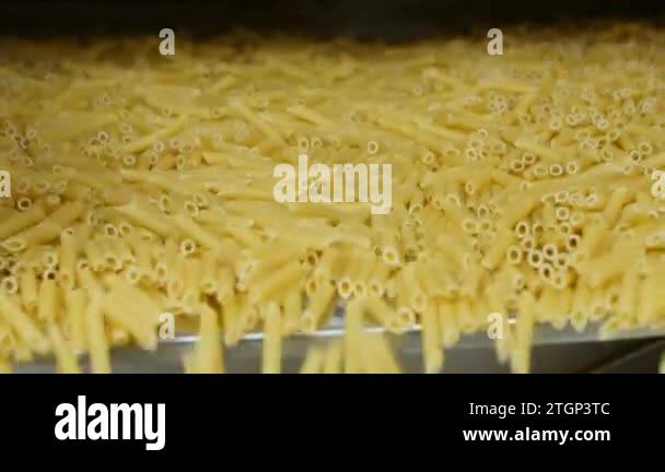 Macaroni factory. Production cycle of making pasta. Pasta is pouring ...