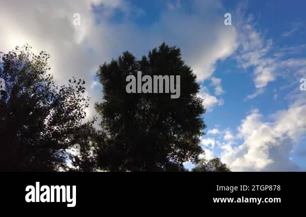 cloud timelapse. 4K timelapse. colorful dark sunset clouds Footage ...