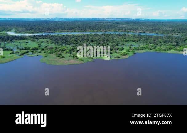 Nature aerial view of Amazon forest at Amazonas Brazil. Mangrove forest ...