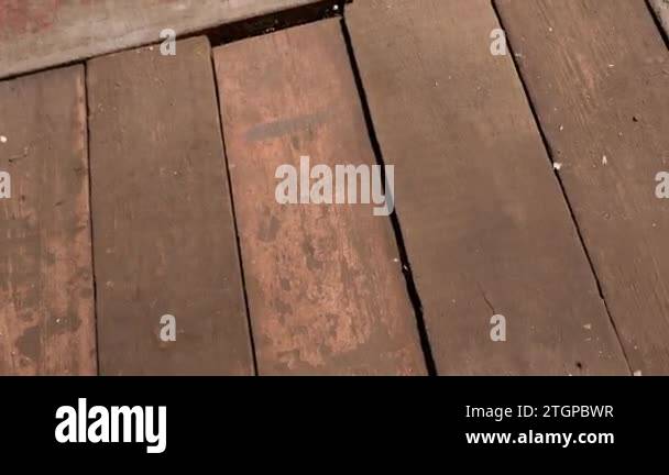 Person Sweeping an Old Dirty Wooden Floor with Broom in the Garage in ...