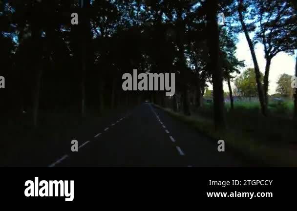 Oak trees distance Stock Videos & Footage - HD and 4K Video Clips - Alamy
