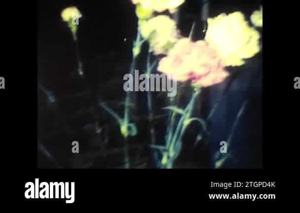 palermo, italy december 1970: a priest celebrates a wedding anniversary ...